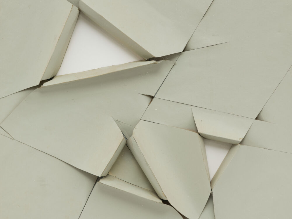 Maria Bartuszová: The Butterfly Effect – Alison Jacques
