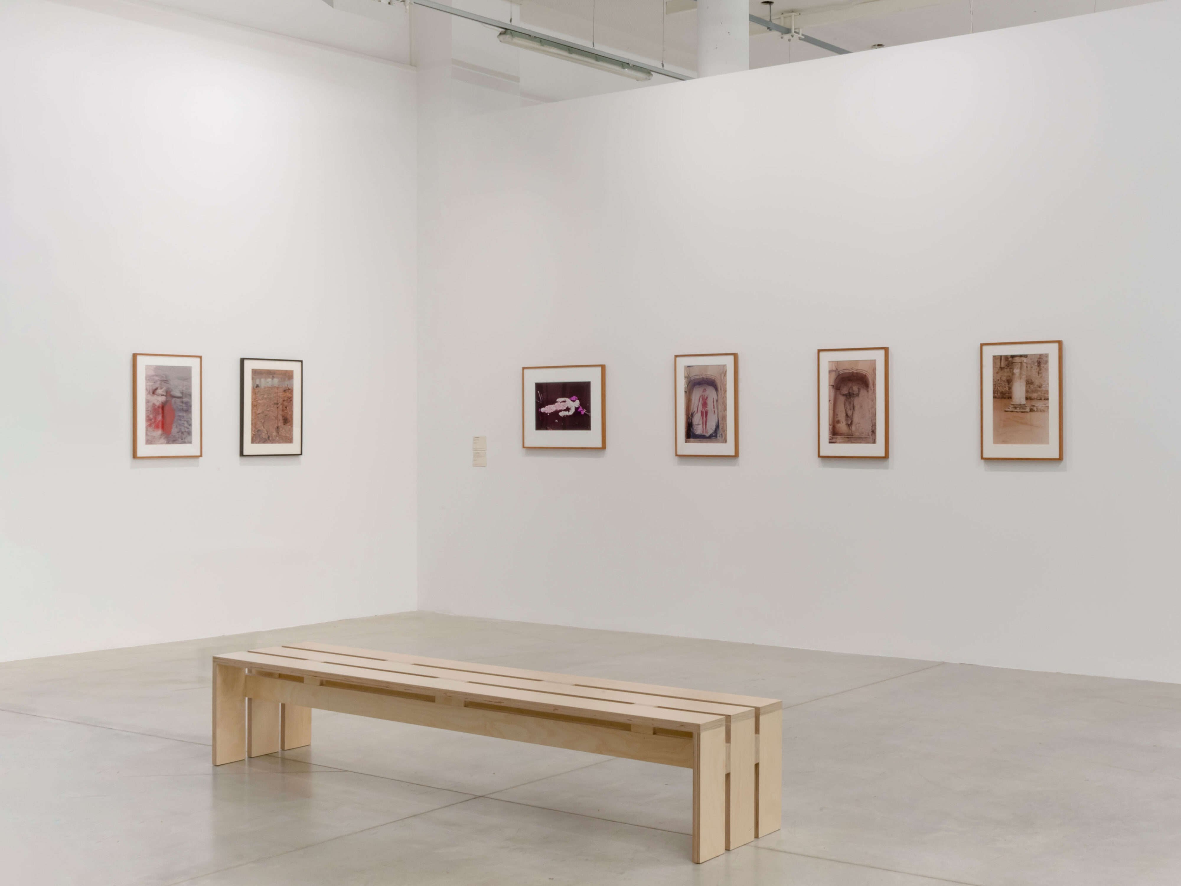Why Is the Feminist Art of Hannah Wilke So Special? – Alison Jacques